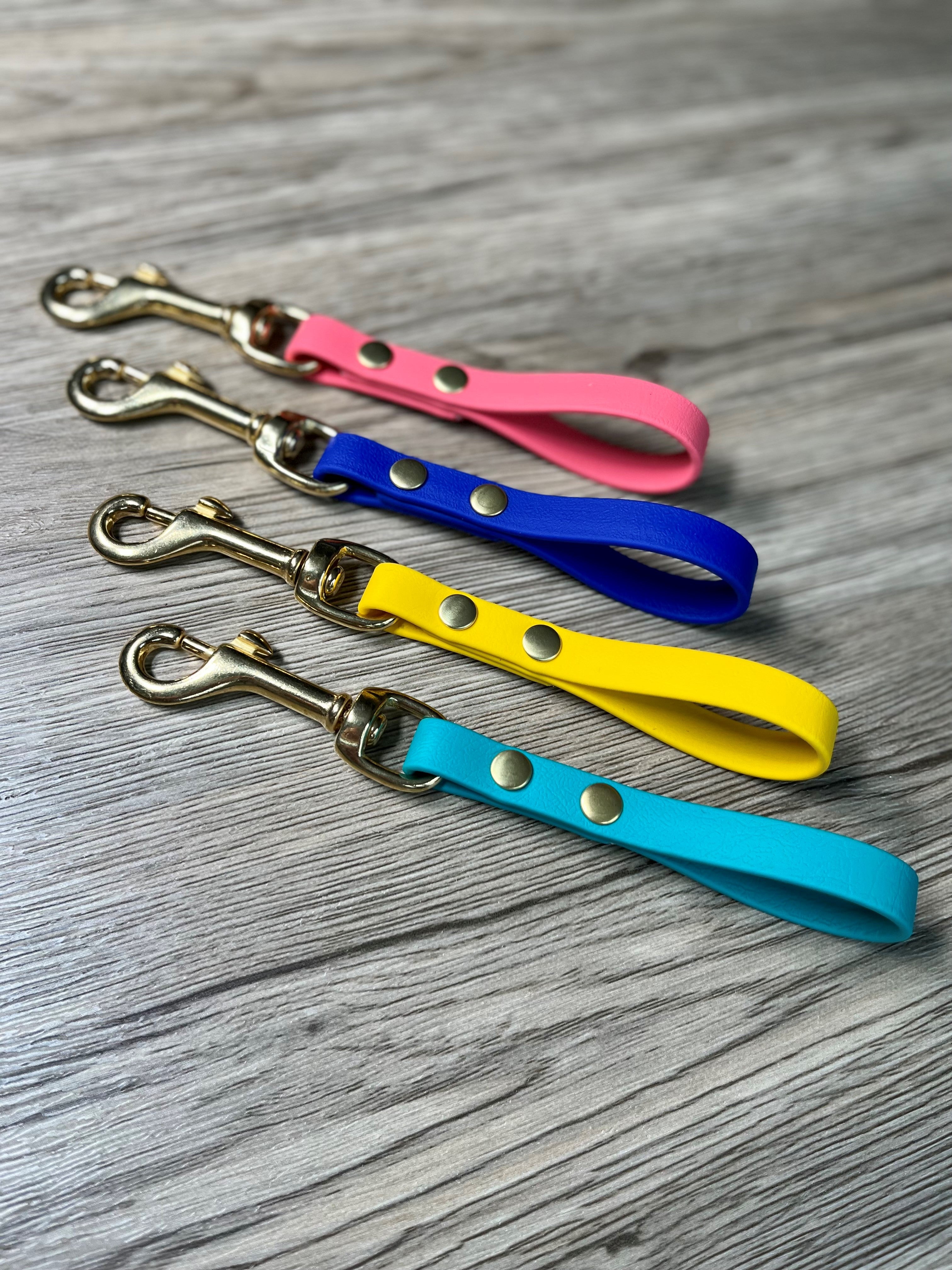 Short Tab – Color Up Pet