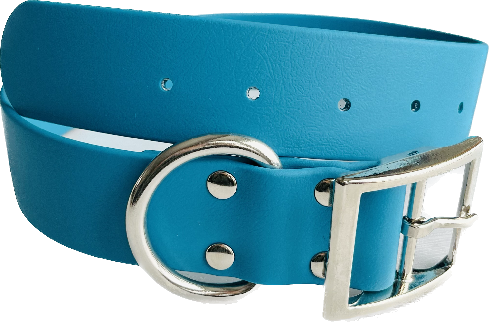 2" Heavy Duty Collar – Color Up Pet